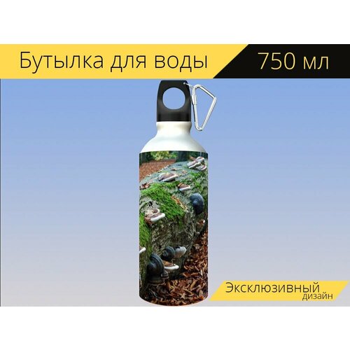 Бутылка фляга для воды "Грибы, гриб, различные" 750 мл. с карабином и принтом
