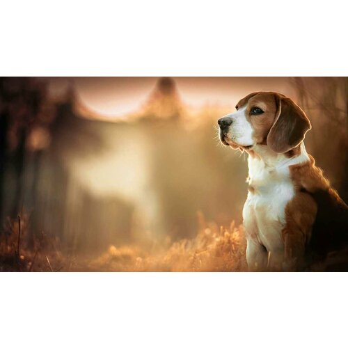 Картина на холсте 60x110 LinxOne "Пёс глаза нос уши лапы" интерьерная для дома / на стену / на кухню / с подрамником