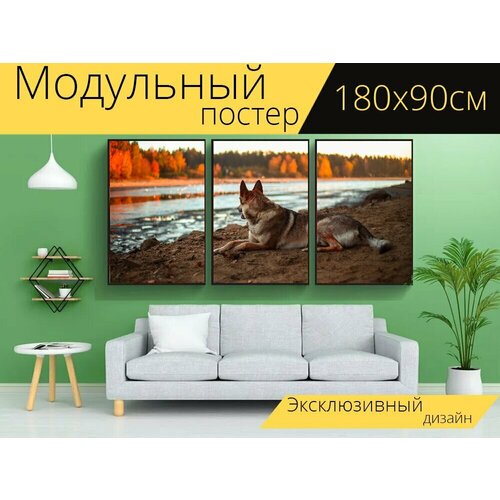 Модульный постер "Собака, эльзасский, животное" 180 x 90 см. для интерьера