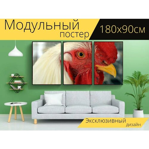 Модульный постер "Петух, курица, мужчина" 180 x 90 см. для интерьера