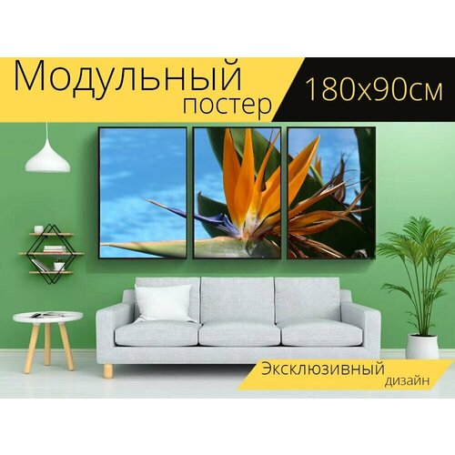 Модульный постер "Хвостатые, стрелиция, райская птица цветок" 180 x 90 см. для интерьера