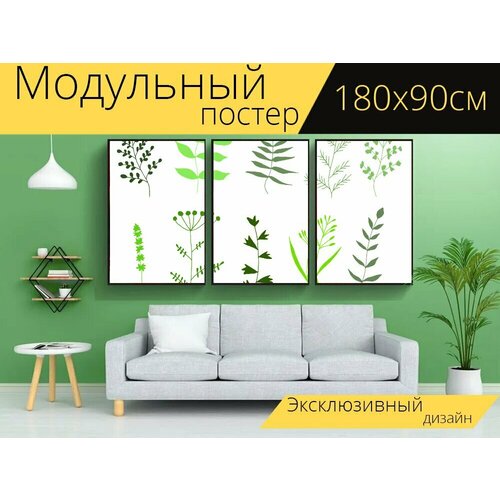 Модульный постер "Травы, трава, пряность" 180 x 90 см. для интерьера
