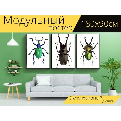 Модульный постер "Жуки, насекомые, природа" 180 x 90 см. для интерьера
