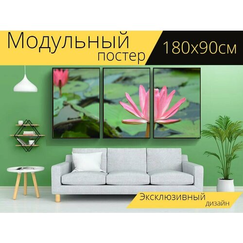 Модульный постер "Цветок, огород, ботанический сад" 180 x 90 см. для интерьера