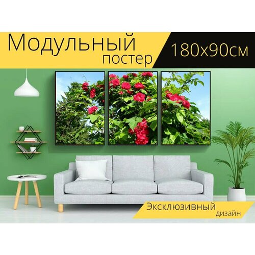 Модульный постер "Розы розы трельяж, красный, голубое небо" 180 x 90 см. для интерьера
