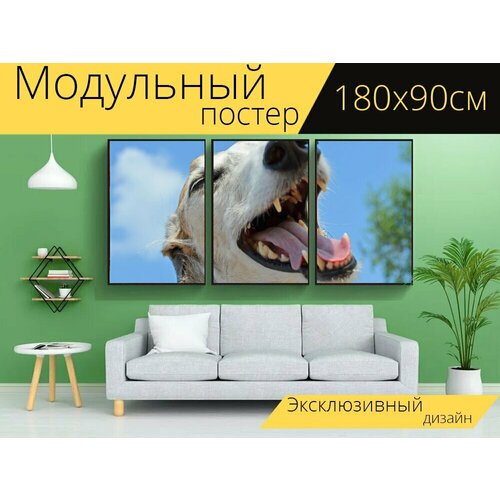 Модульный постер "Собака, животное, борзая" 180 x 90 см. для интерьера