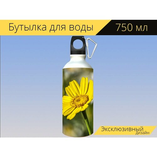 Бутылка фляга для воды "Маргаритка, цветок, завод" 750 мл. с карабином и принтом