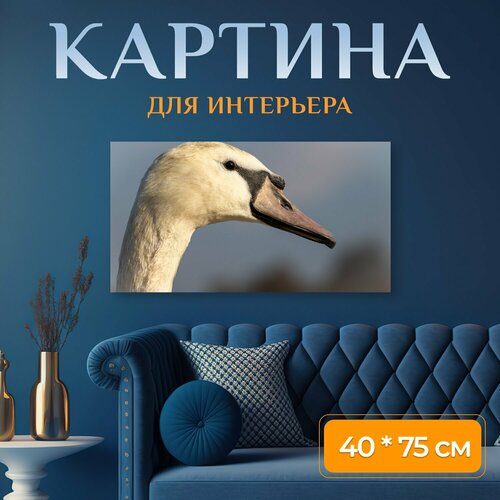 Картина на холсте "Лебедь, птица, клюв" на подрамнике 75х40 см. для интерьера