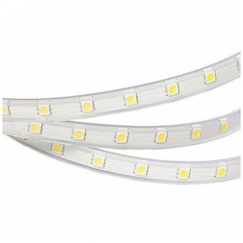 Лента ARL-W5060PG-54-220v Warm 2700K (540LED,10m) 019666