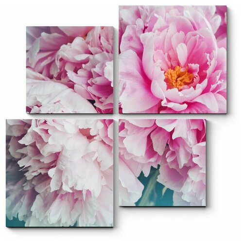 Модульная картина Нежно-розовые пионы 60x60