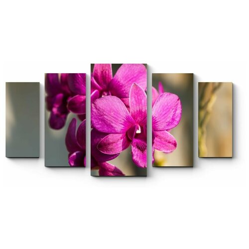Модульная картина Королева цветов - прекрасная орхидея 190x105