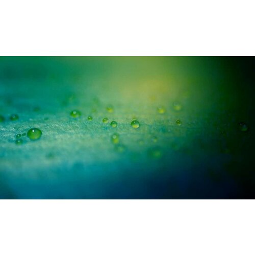 Картина на холсте 60x110 Альянс Лес "Капли блеск макро вода всет" на подрамнике / интерьер/ декор
