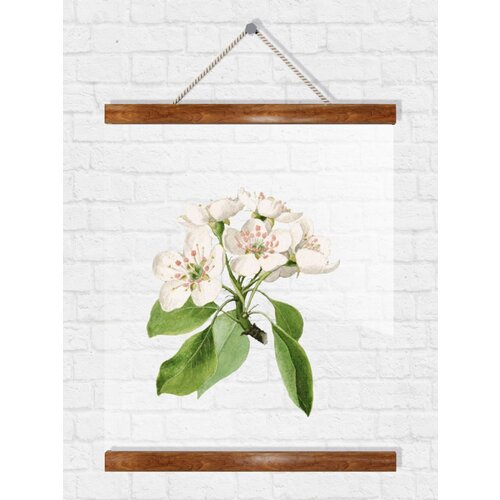 Постер / Плакат / Картина Прозрачный постер - Ветка цветущей яблони с зелеными листьями 60x90