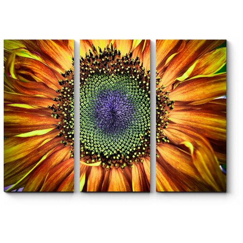 Модульная картина Внутри цветка солнца 120x86