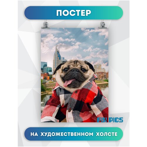 Постер на холсте Мопс песик собака пес 40х60 см