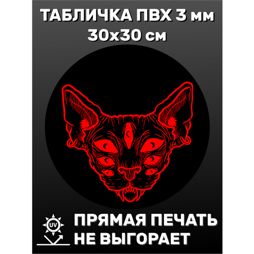 Табличка информационная Кошка демон 30х30 см