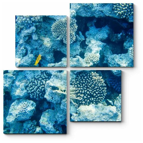 Модульная картина Коралловые рифы 60x60