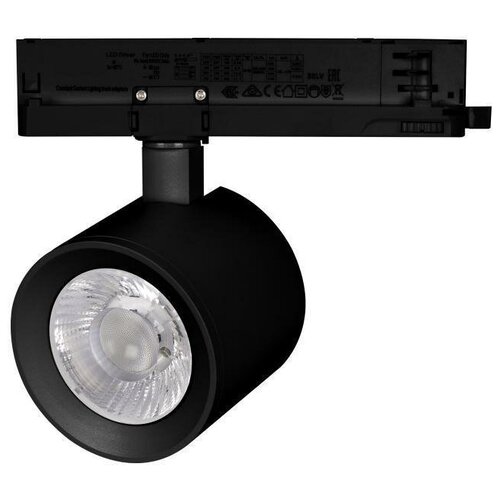 Трековый светодиодный светильник Arlight LGD-Nika-4TR-R100-20W Day4000 031111