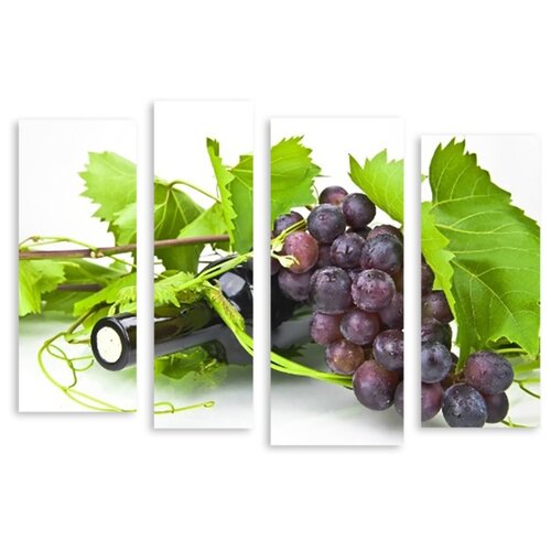 Модульная картина на холсте "Виноградная лоза" 150x109 см