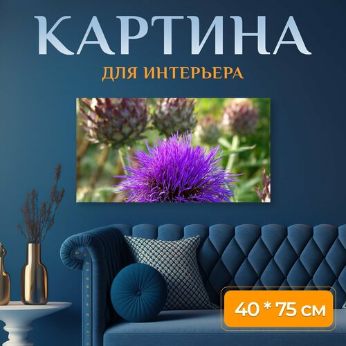 Картина на холсте "Артишок, цветок, завод" на подрамнике 75х40 см. для интерьера