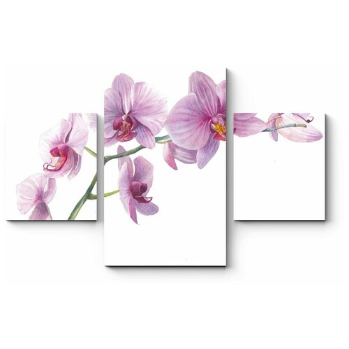 Модульная картина Ветка чудесной орхидеи 120x78