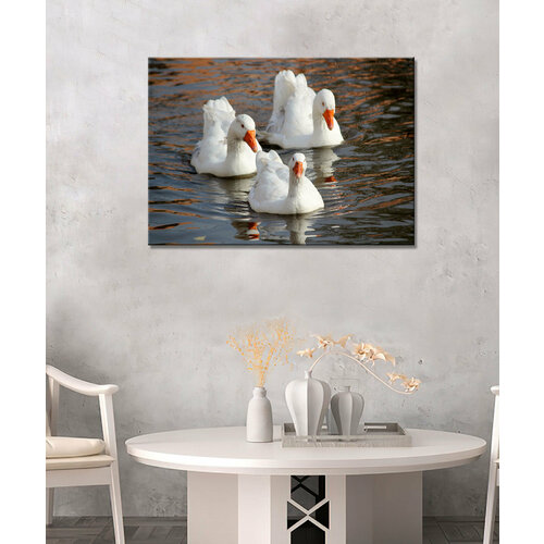 Картина - Гуси, гуси в воде, белые гуси, гусь водоплавающая птица (56) 50х70