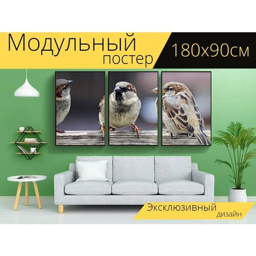 Модульный постер "Воробьи, воробьев семья, птицы" 180 x 90 см. для интерьера