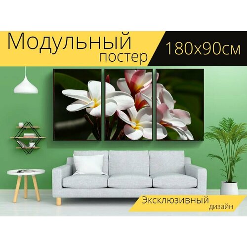Модульный постер "Плюмерия, цветок, гавайи" 180 x 90 см. для интерьера