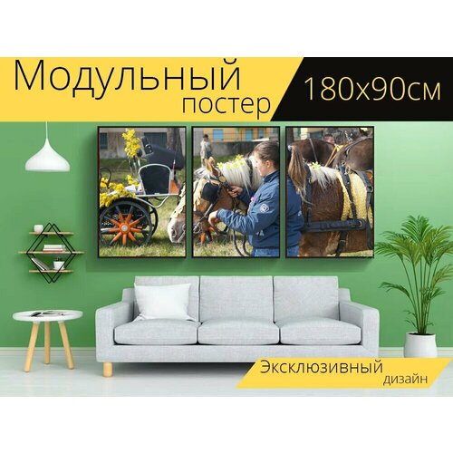 Модульный постер "Лошадь, амазонка, шоры" 180 x 90 см. для интерьера