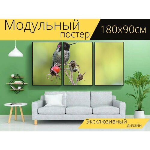 Модульный постер "Колибри анны, птица, колибри" 180 x 90 см. для интерьера