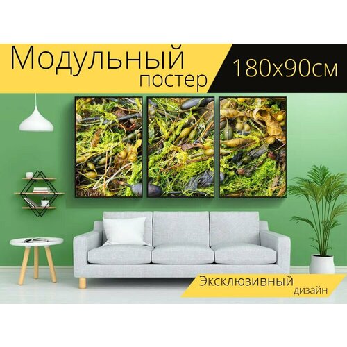 Модульный постер "Морские водоросли, море, сорняк" 180 x 90 см. для интерьера