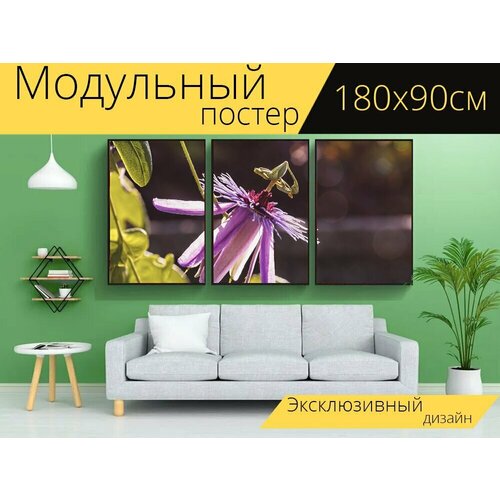 Модульный постер "Цветок страсти, фиолетовый, страстоцвет" 180 x 90 см. для интерьера