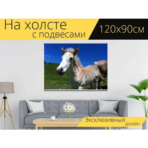 Картина на холсте "Лошадь, конный спорт, верховая езда" с подвесами 120х90 см. для интерьера
