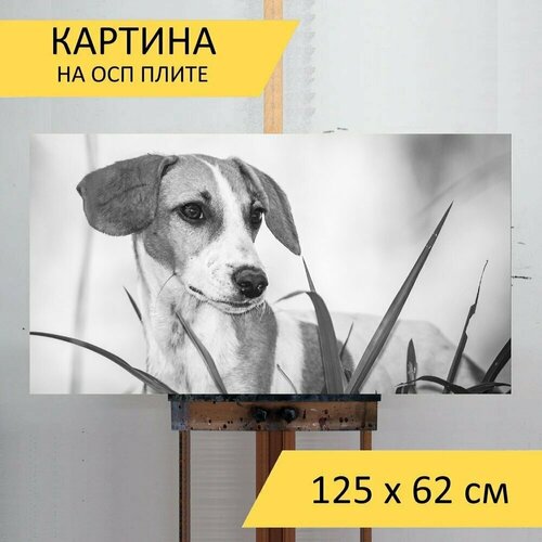 Картина на ОСП 125х62 см. "Собака, домашний питомец, одомашненный" горизонтальная, для интерьера, с креплениями