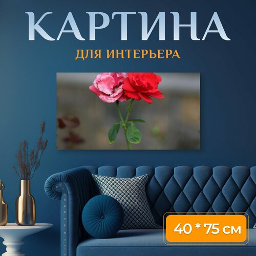 Картина на холсте "Розы, красный, сад" на подрамнике 75х40 см. для интерьера