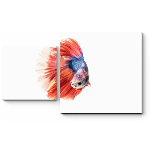 Модульная картина Красно-синяя рыбка 50x30
