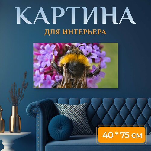 Картина на холсте "Пчела, насекомое, летом" на подрамнике 75х40 см. для интерьера