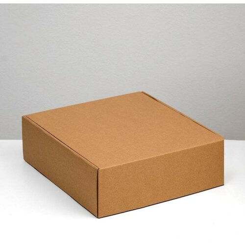 Коробка самосборная, крафт, 29,5 х 28,5 х 9,5 см (5 шт)