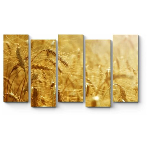 Модульная картина Золотая рожь 150x87