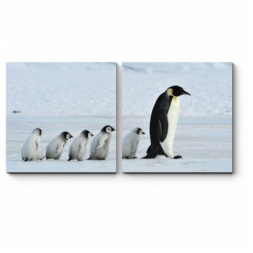 Модульная картина Семейство пингвинов на прогулке 40x20