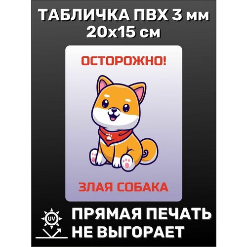 Табличка информационная прикольная Осторожно злая собака 20х15 см