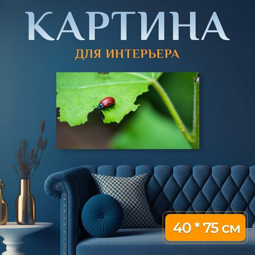 Картина на холсте "Жук, насекомые, листья" на подрамнике 75х40 см. для интерьера