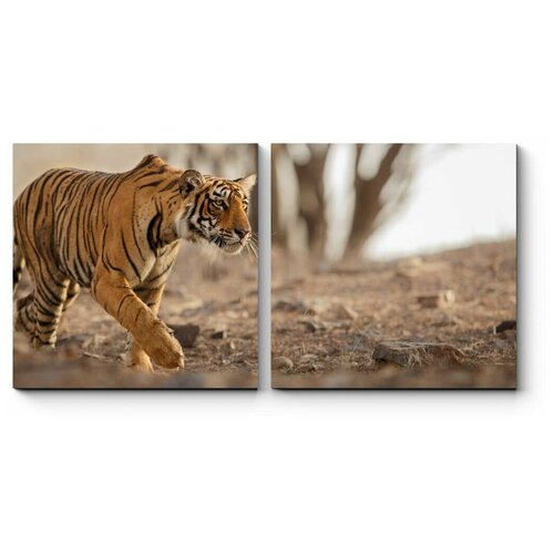 Модульная картина Тигр на охоте40x20