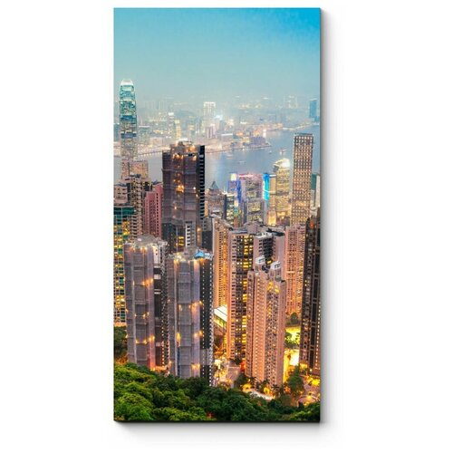 Модульная картина Панорама Гонконга 50x100