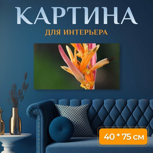 Картина на холсте "Оранжевый цветок, цветок, завод" на подрамнике 75х40 см. для интерьера