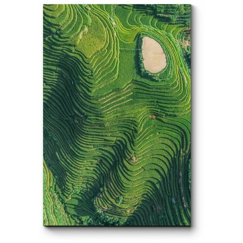 Модульная картина Линии рисовых полей 50x75