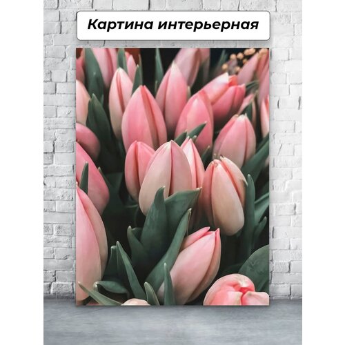 Картины для интерьера 40х60 Нежно розовые тюльпаны