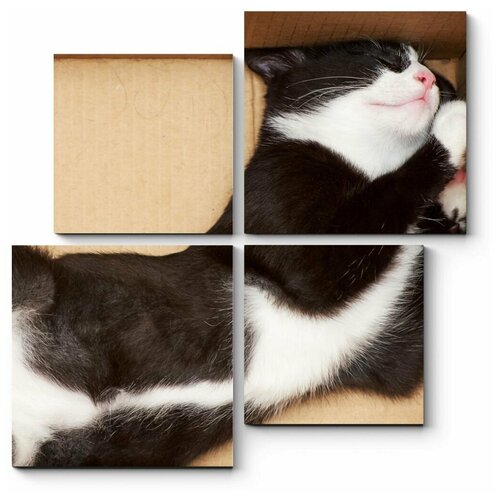 Модульная картина Кот в картонном домике 80x80