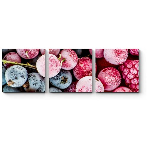 Модульная картина Ледяные ягоды 160x53