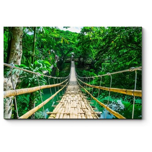 Модульная картина Бамбуковый пешеходный подвесной мост через реку в тропическом лесу 90x60